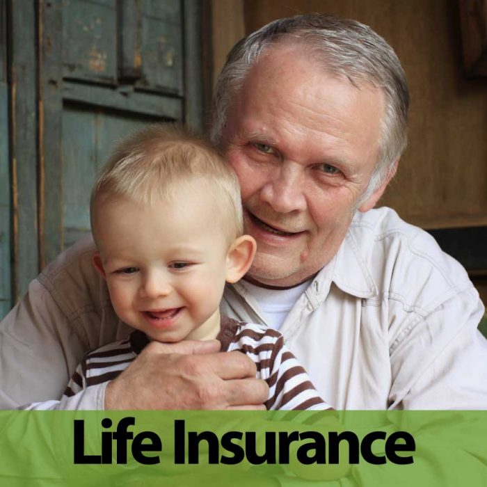 Daniel Insurance, LLC | Putting together the pieces of your financial ...